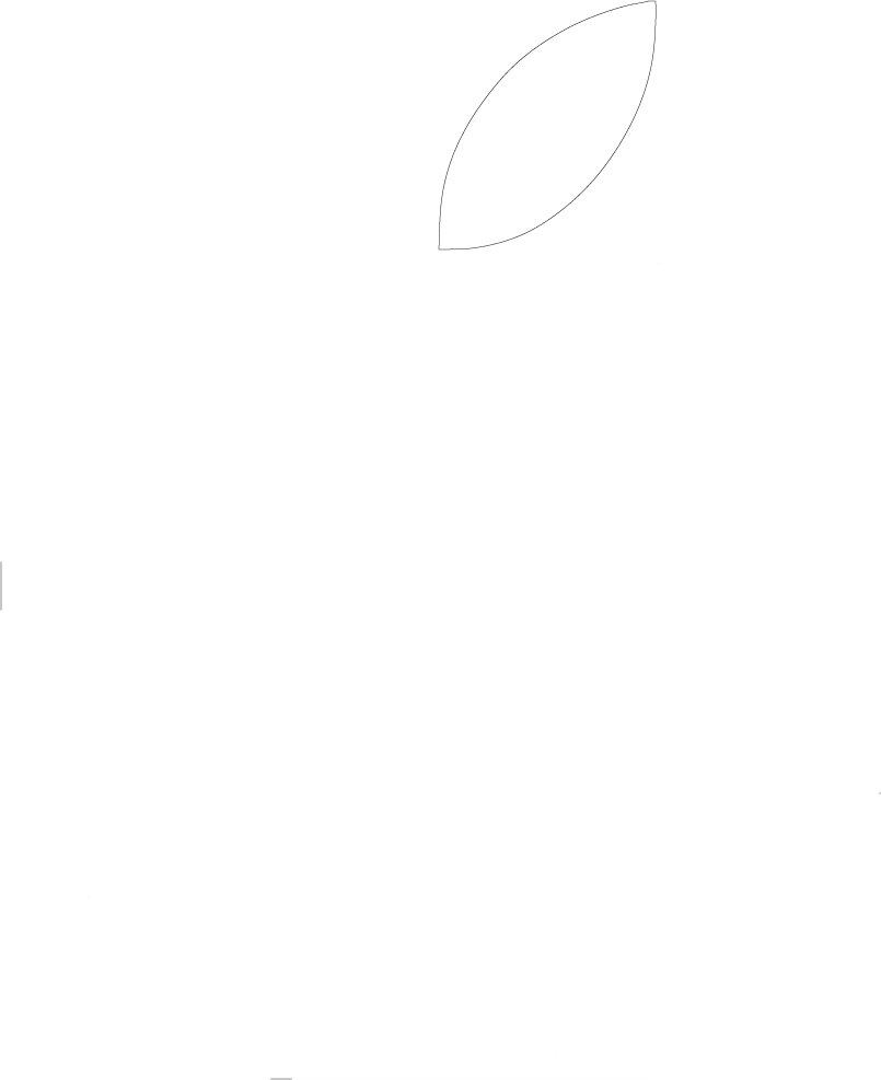 White Apple Logo Transparent (805x987), Png Download