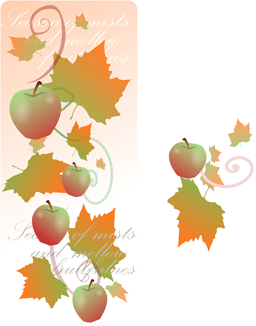 Download Decorations, Fall, Plants, Border, Free, Falling - Autumn Clip ...