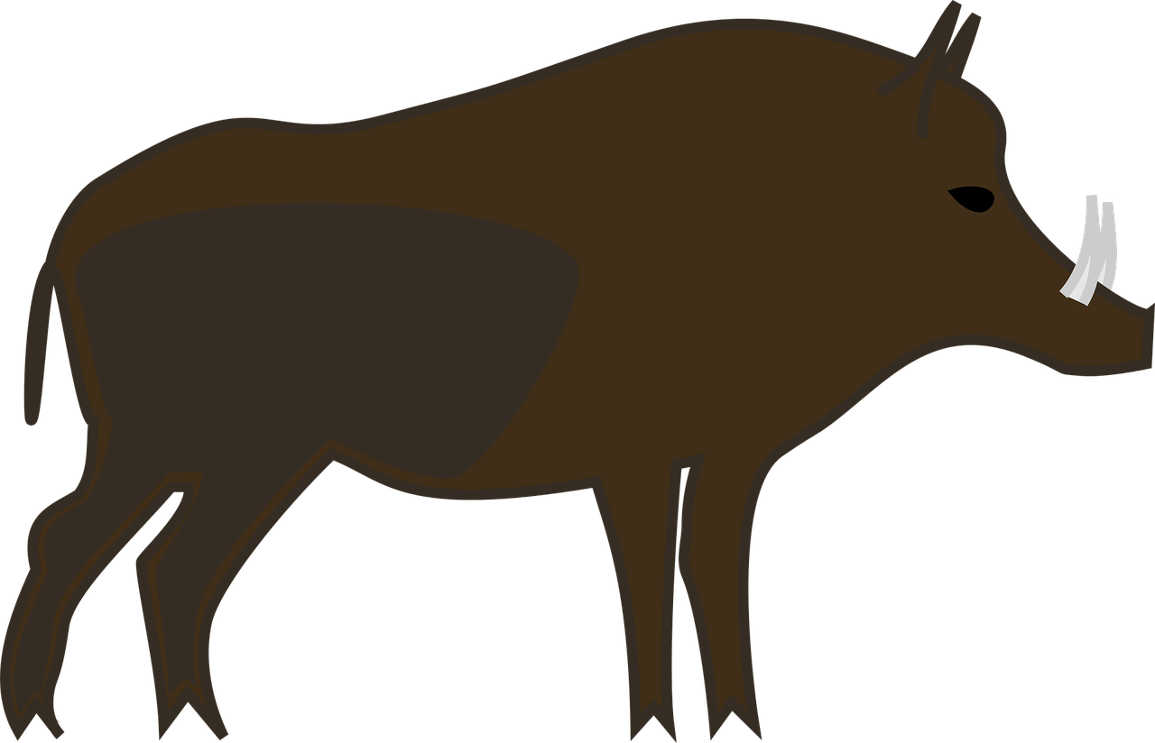 Boar Clipart Wild Boar - Wild Boar Clipart Png (800x516), Png Download