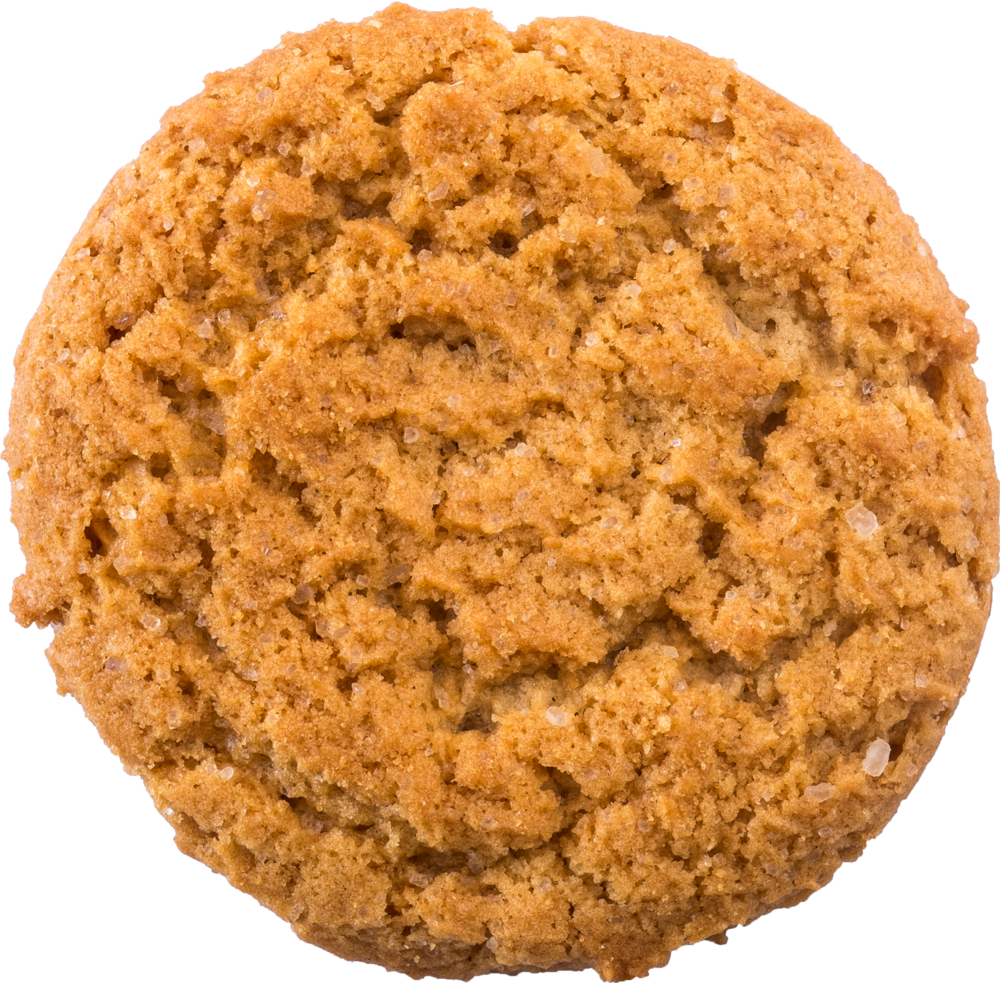 Ginger Snap - Ginger Snap Cookie Png (1000x983), Png Download