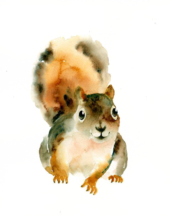 Download Squirrel Watercolor - Animals Watercolor | Transparent PNG ...