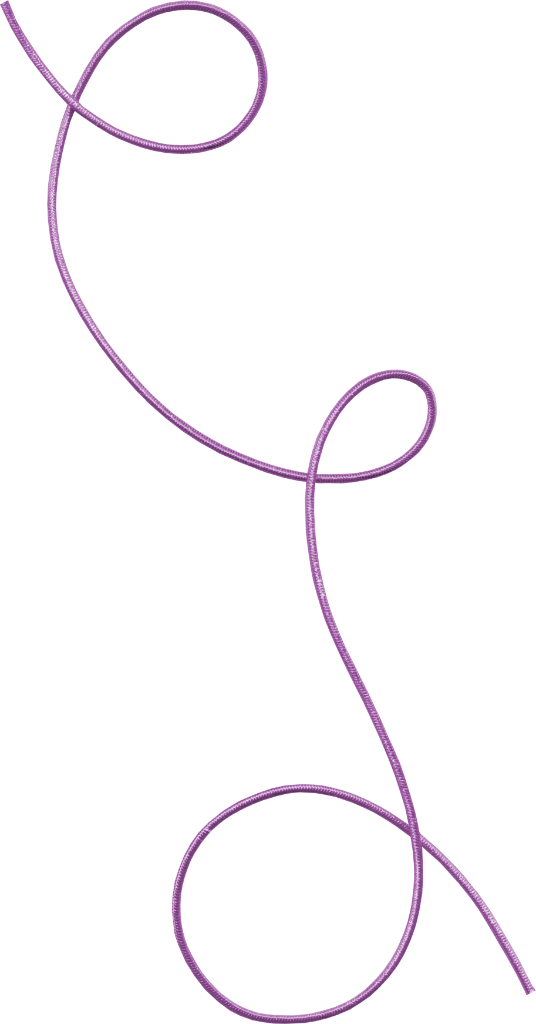 Download Photo String - Circle | Transparent PNG Download | SeekPNG