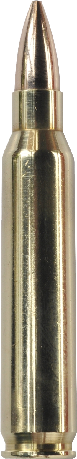 Single Bullets - Single Bullet Png (381x1864), Png Download