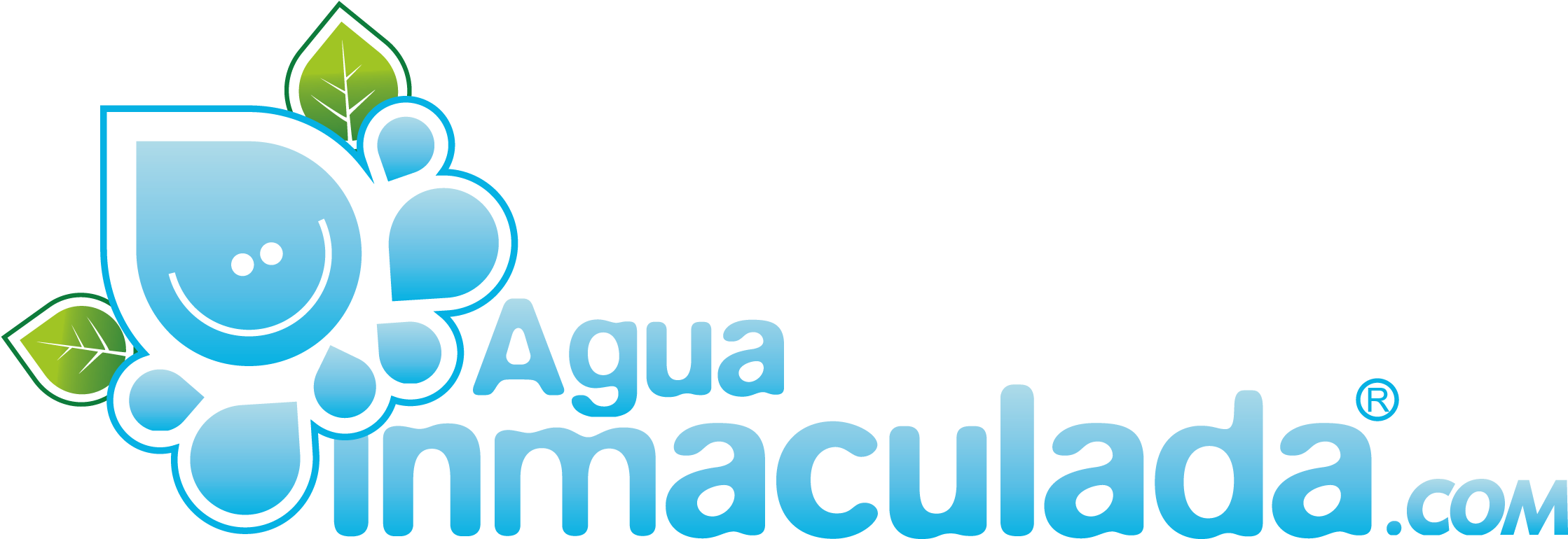 Plantas Purificadoras De Inmaculada Preguntas Frecuentes - Agua ...