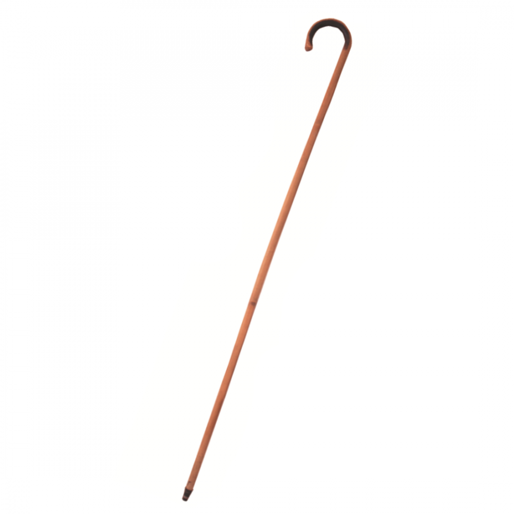 Waldo's Walking Cane - Parallel (1000x1231), Png Download