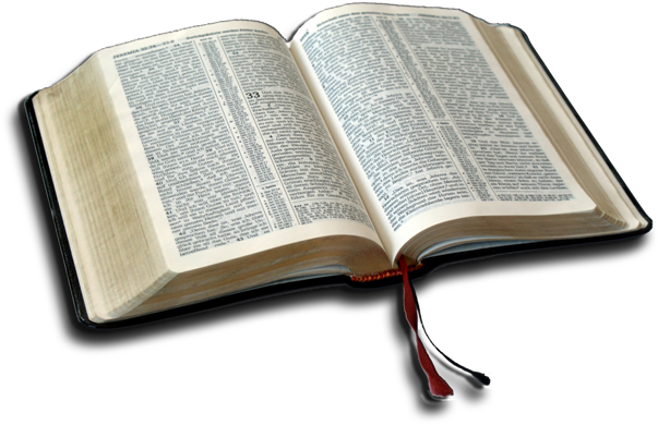 Download Bible2 - Bible Png | Transparent PNG Download | SeekPNG