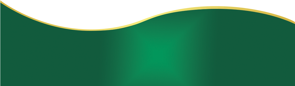 Green Curve Png (1024x312), Png Download