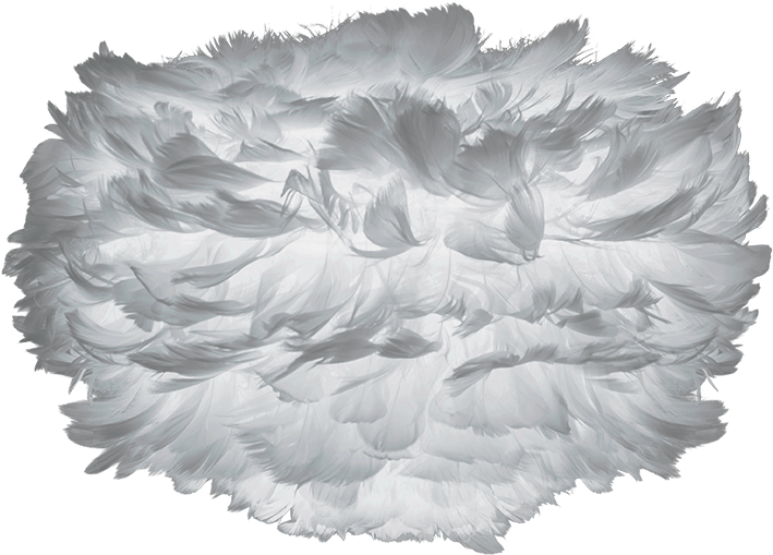 Download Eos Micro Light Grey Goose Feather Lampshade | Transparent PNG ...