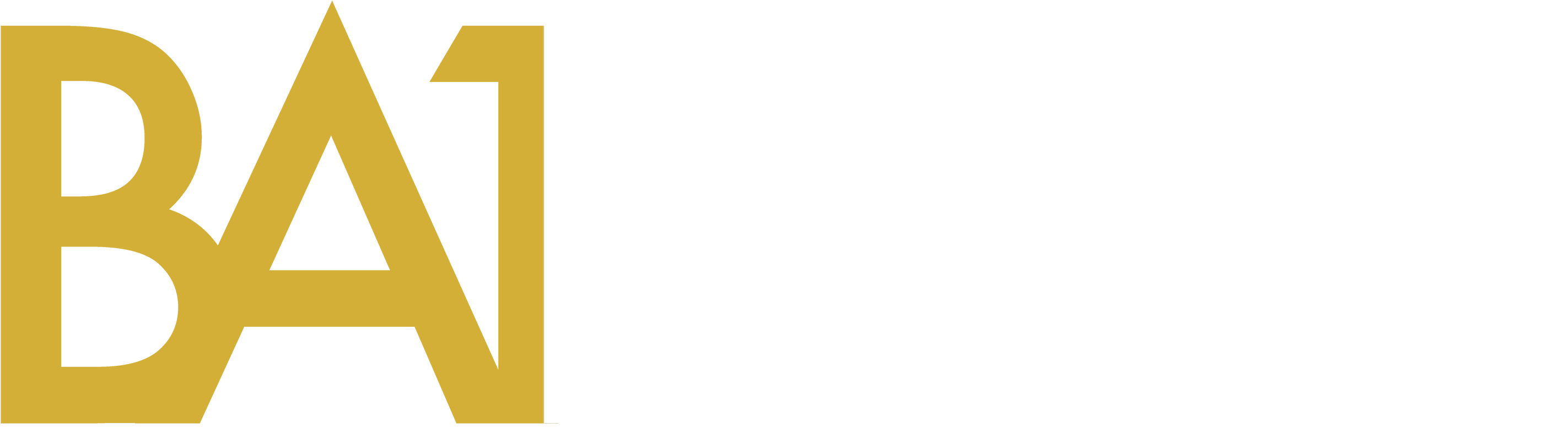 Download Original Size Is 3000 × 882 Pixels - Ba1 Hair | Transparent ...