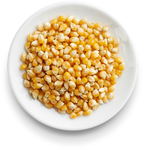 Pop Corn Kernels (600x600), Png Download