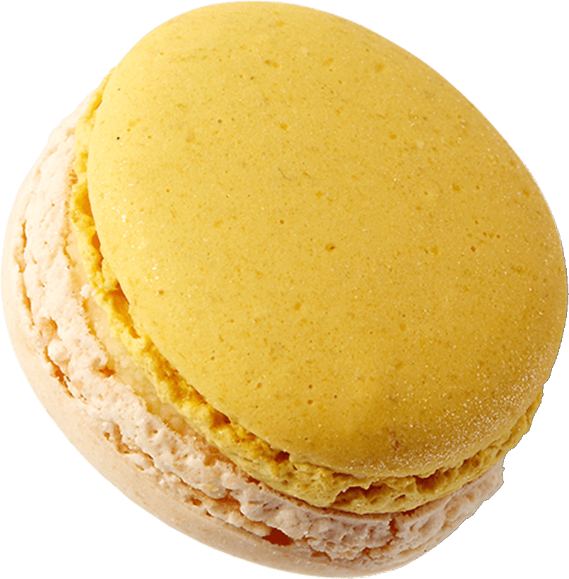 Download Macaroon | Transparent PNG Download | SeekPNG