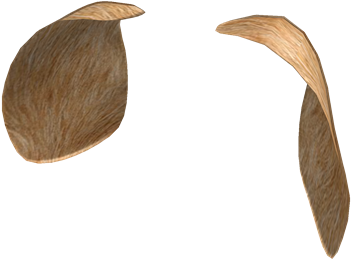 Dog Ears - Dog Ears Transparent Png (420x420), Png Download