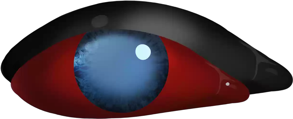 Download Scary Eyes - Circle | Transparent PNG Download | SeekPNG