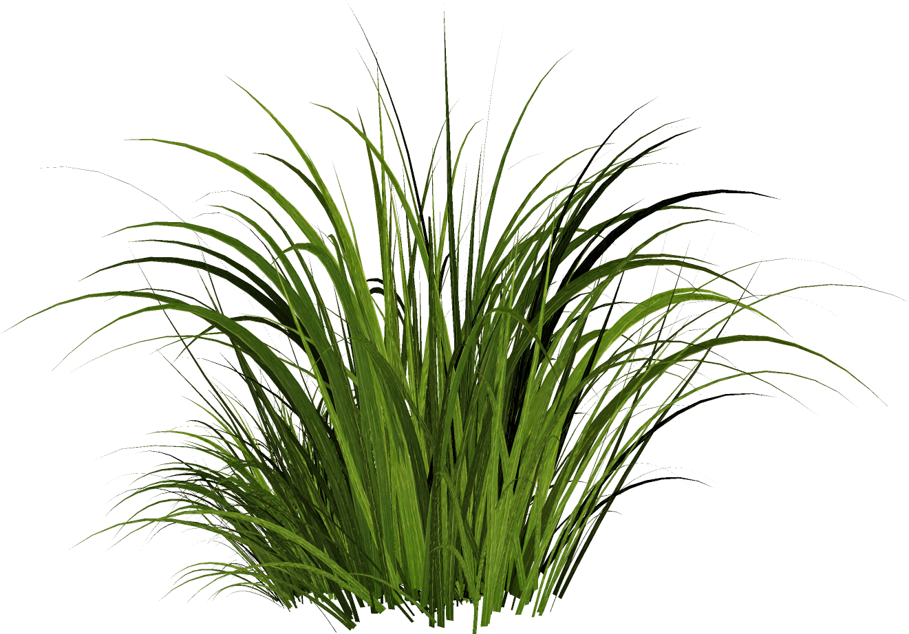 Transparent Texture Grass - Transparent Background Grass Clipart ...