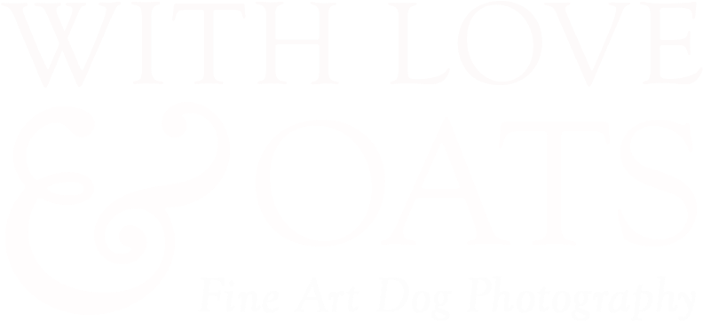 Logo Small White Square - Monochrome (1000x600), Png Download