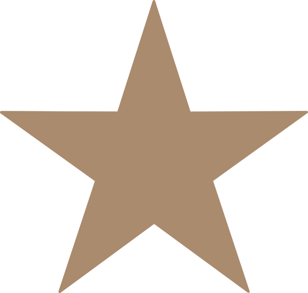 Clip Arts Related To - Brown Star Vector (600x571), Png Download