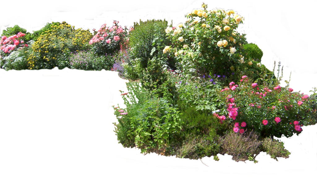 Flowered Garden Png - Garden Png (600x453), Png Download