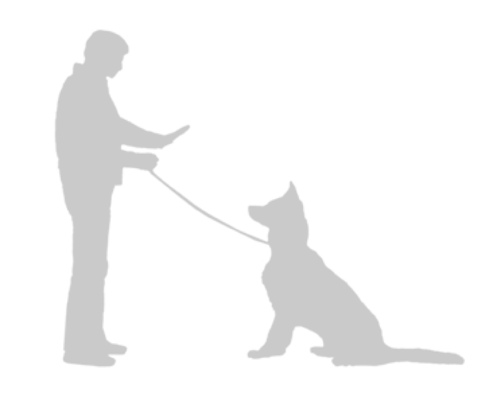 Dog With Owner Silhouette (701x601), Png Download