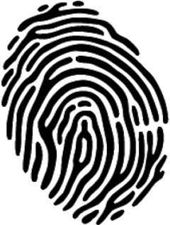 Download Fingerprint Ongoing Scanning Icons - Fingerprint Icon Png Free ...