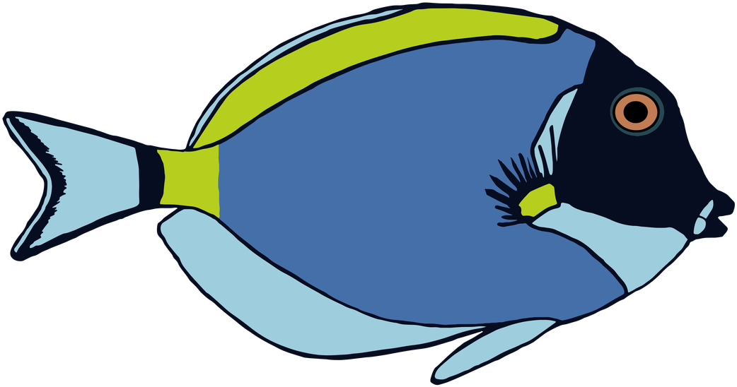 Download And Then Colored It In - Blue Tang Fish Clipart | Transparent ...