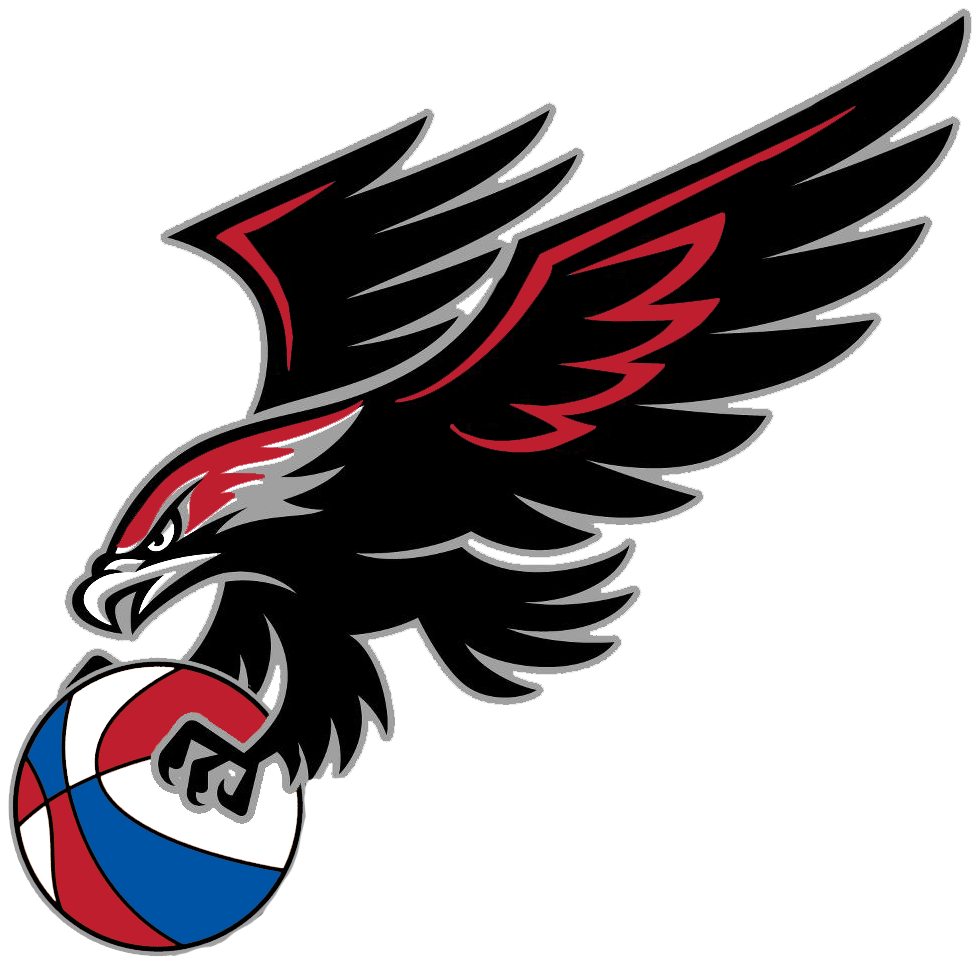 Williams Field High School Chicago Blackhawks Higley - Black Hawks ...