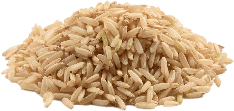 Download - Transparent Rice Plant Png (1000x667), Png Download