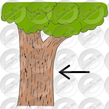 Bark Clipart Tree Bark Texture - Tree Bark Clip Art (380x380), Png Download