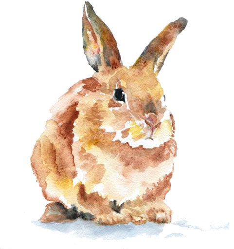 Download Watercolor Woodland Animals | Transparent PNG Download | SeekPNG