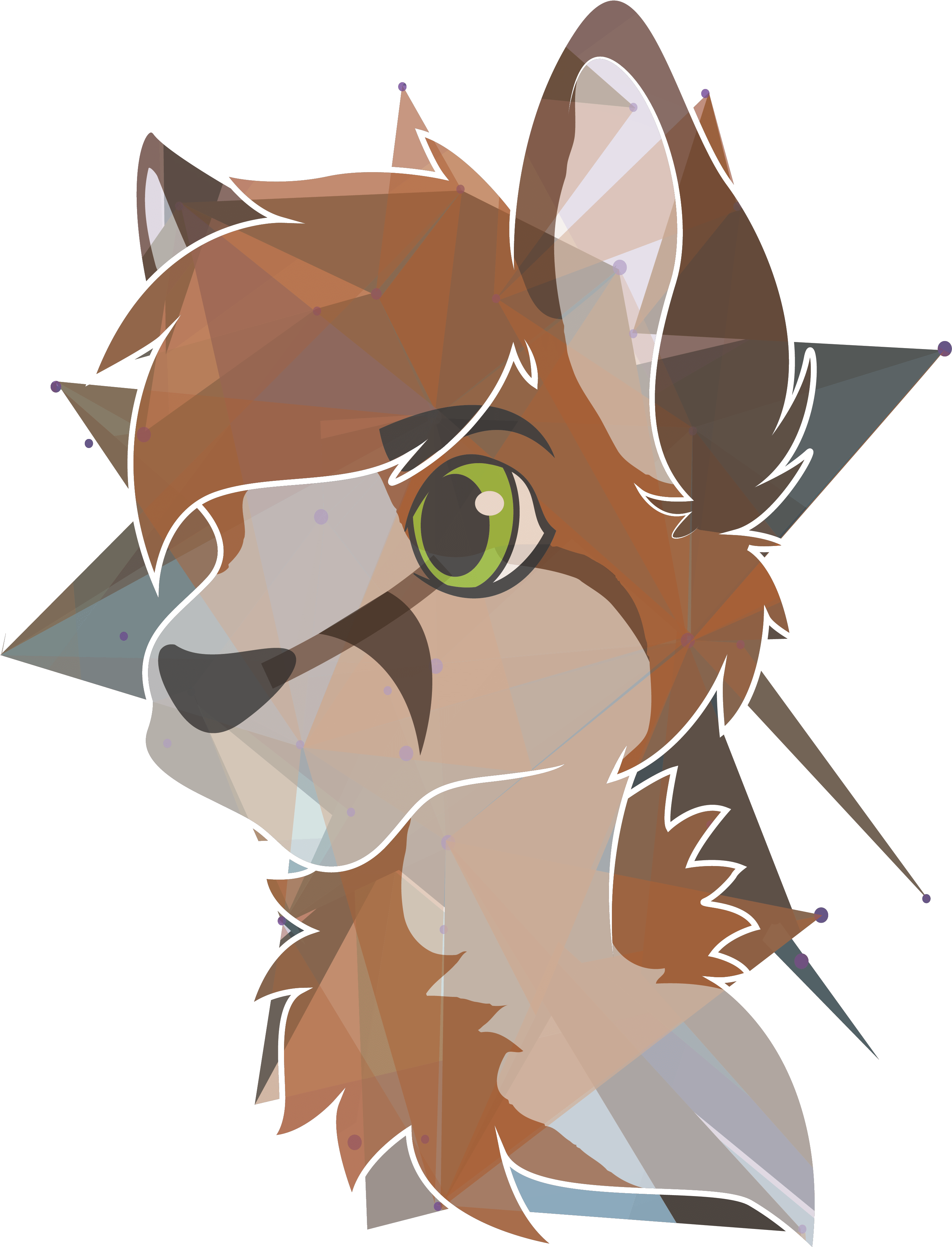 Geometric Leon - Cartoon (4000x4000), Png Download