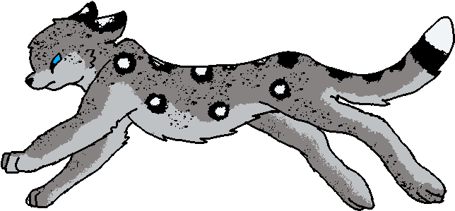 Download Friskykitty13 - Snow Leopard Cartoon Gif | Transparent PNG ...