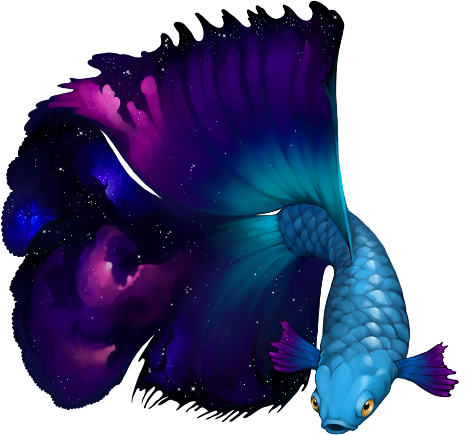 Betta Nebula (1000x988), Png Download
