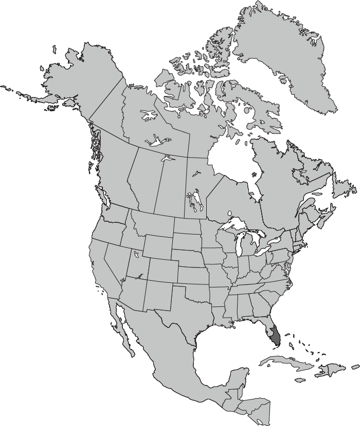 North America Map Design (700x830), Png Download