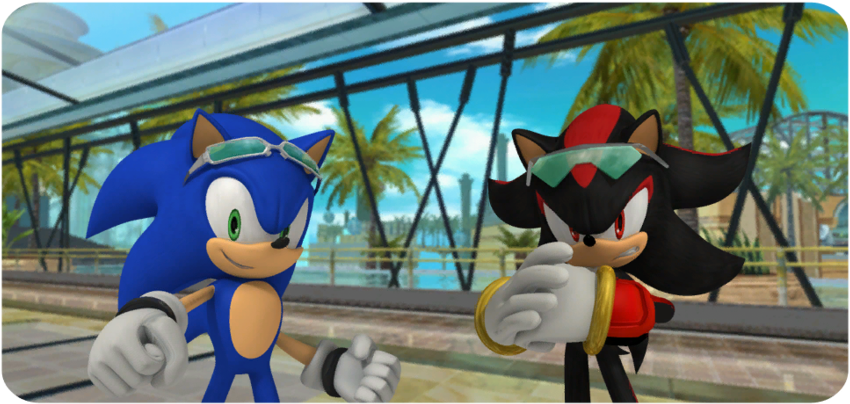 Sonic The Hedgehog And Shadow The Hedgehog - Sonic Free Riders Shadow ...