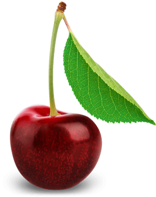 Download Cherry Single - Cherry Png | Transparent PNG Download | SeekPNG