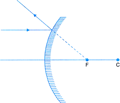 After Reflection From The Convex Mirror, The Ray Appears - Diagram ...