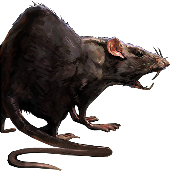 Download Rat Concept - Rat Concept Art | Transparent PNG Download | SeekPNG