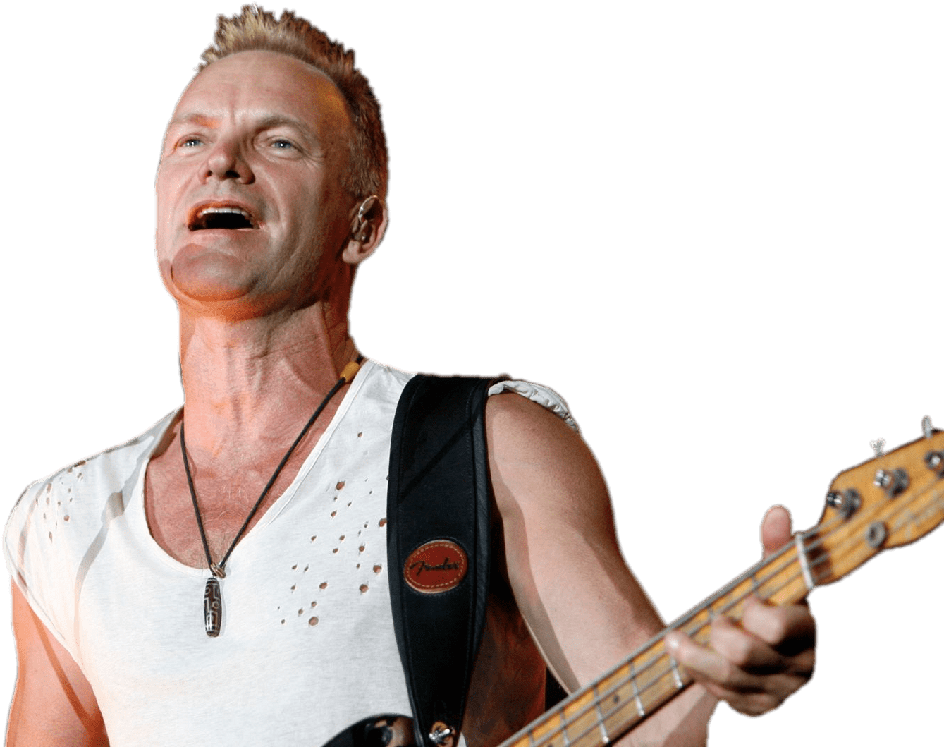 Download Music Stars - Sting Musician Transparent | Transparent PNG ...