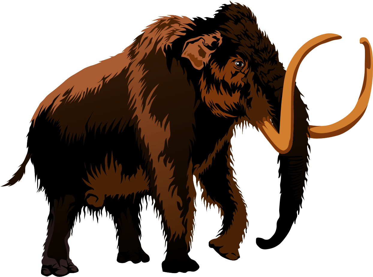 Woolly - Wooly Mammoth Clip Art (1378x1030), Png Download