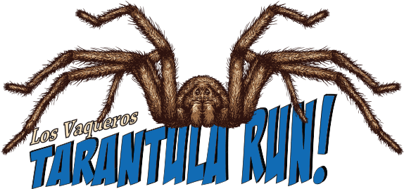 Tarantula Run - Running (600x400), Png Download
