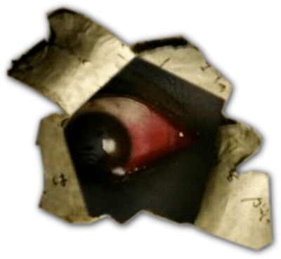 Download Scary Peeking Eye Psd - Eye | Transparent PNG Download | SeekPNG