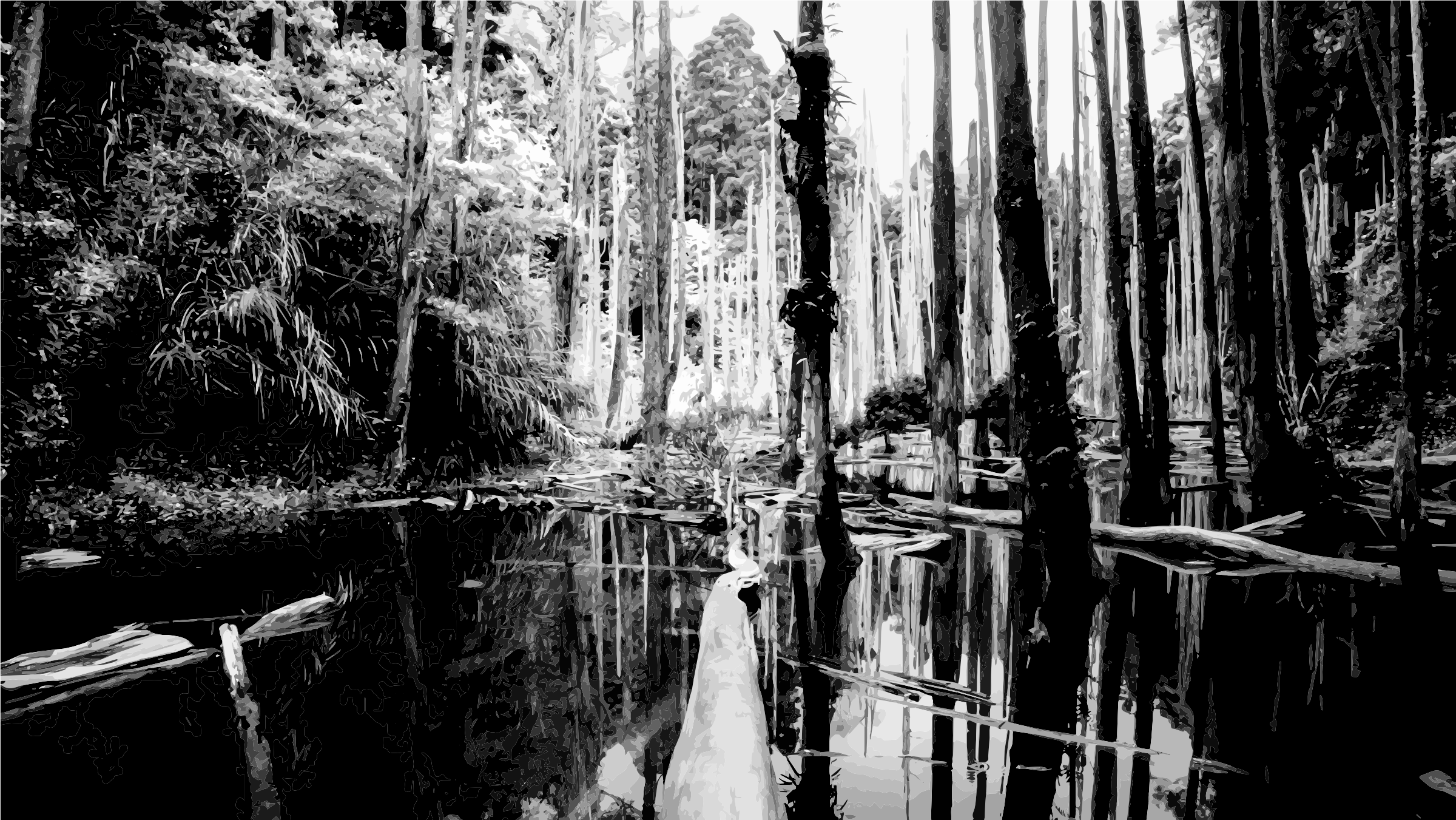 Png Transparent Library Grayscale Big Image Png - Black And White Swamp ...