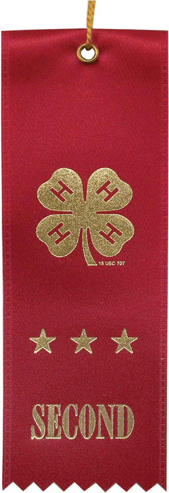 Download Red Second Place Ribbon - Ribbon | Transparent PNG Download ...