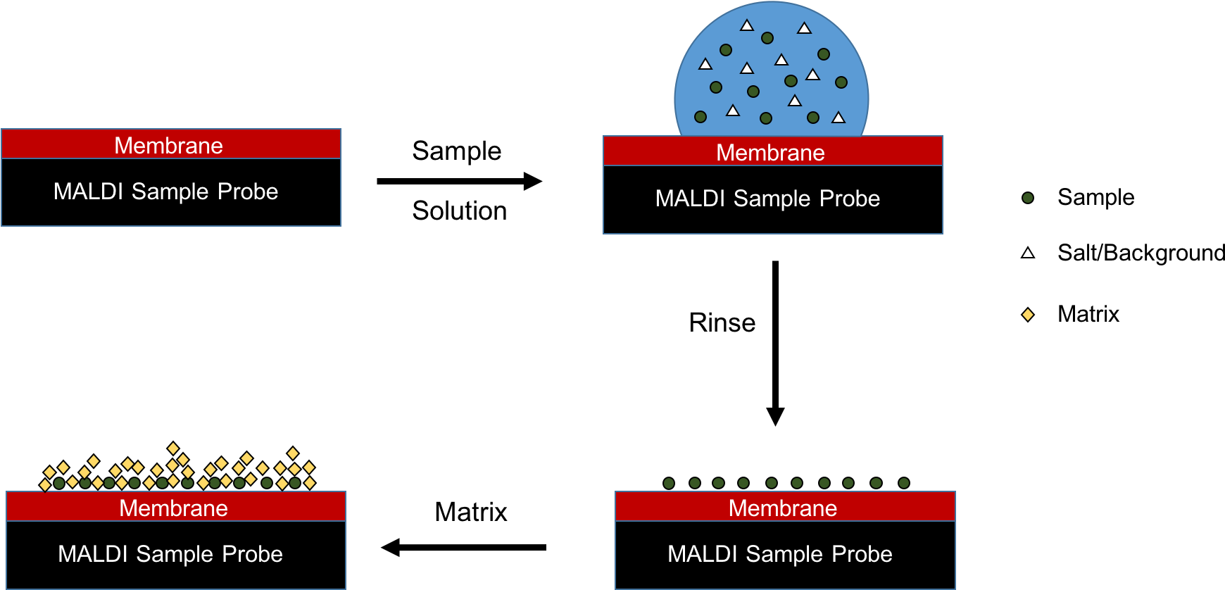 Maldi- Sample Preparation - Maldi Sample Preparation (1851x837), Png ...