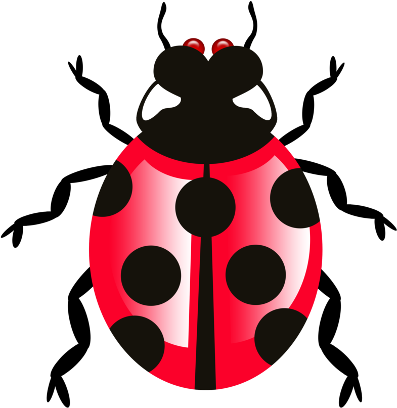 Bug Icon Transparent Png - Portable Network Graphics (900x1273), Png ...