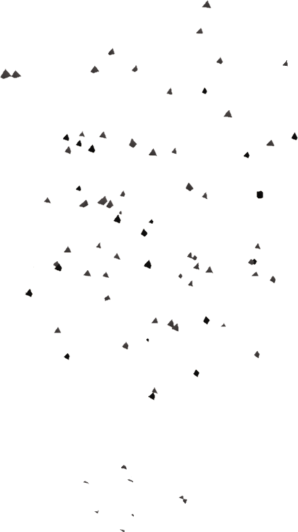 Flying Bug Png - Bugs Flying Png (430x768), Png Download