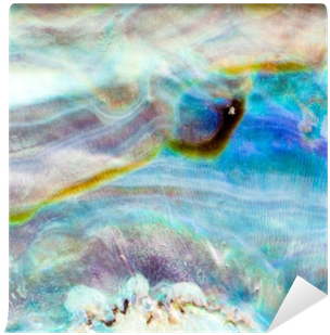 Download Shiny Nacre Of Paua Or Abalone Shell Background Wall - Abalone ...