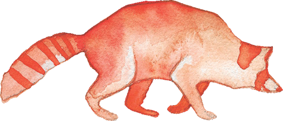 Creatures - Invertebrate (917x393), Png Download