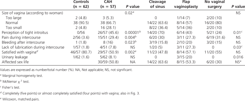 Size And Function Of Vagina - Vagina (850x352), Png Download