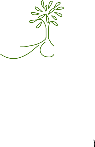 Download Simple Tree With Roots Drawing - Clip Art | Transparent PNG ...