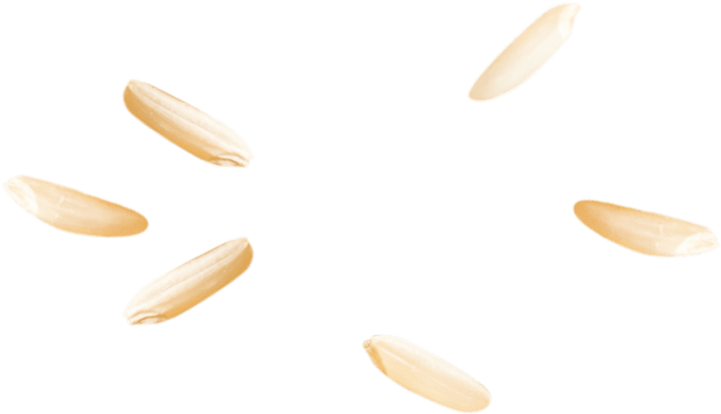 Seed (800x800), Png Download